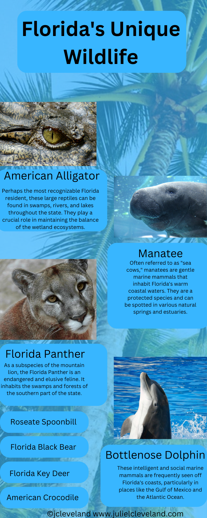 Florida’s Unique Wildlife – Julie L. Cleveland